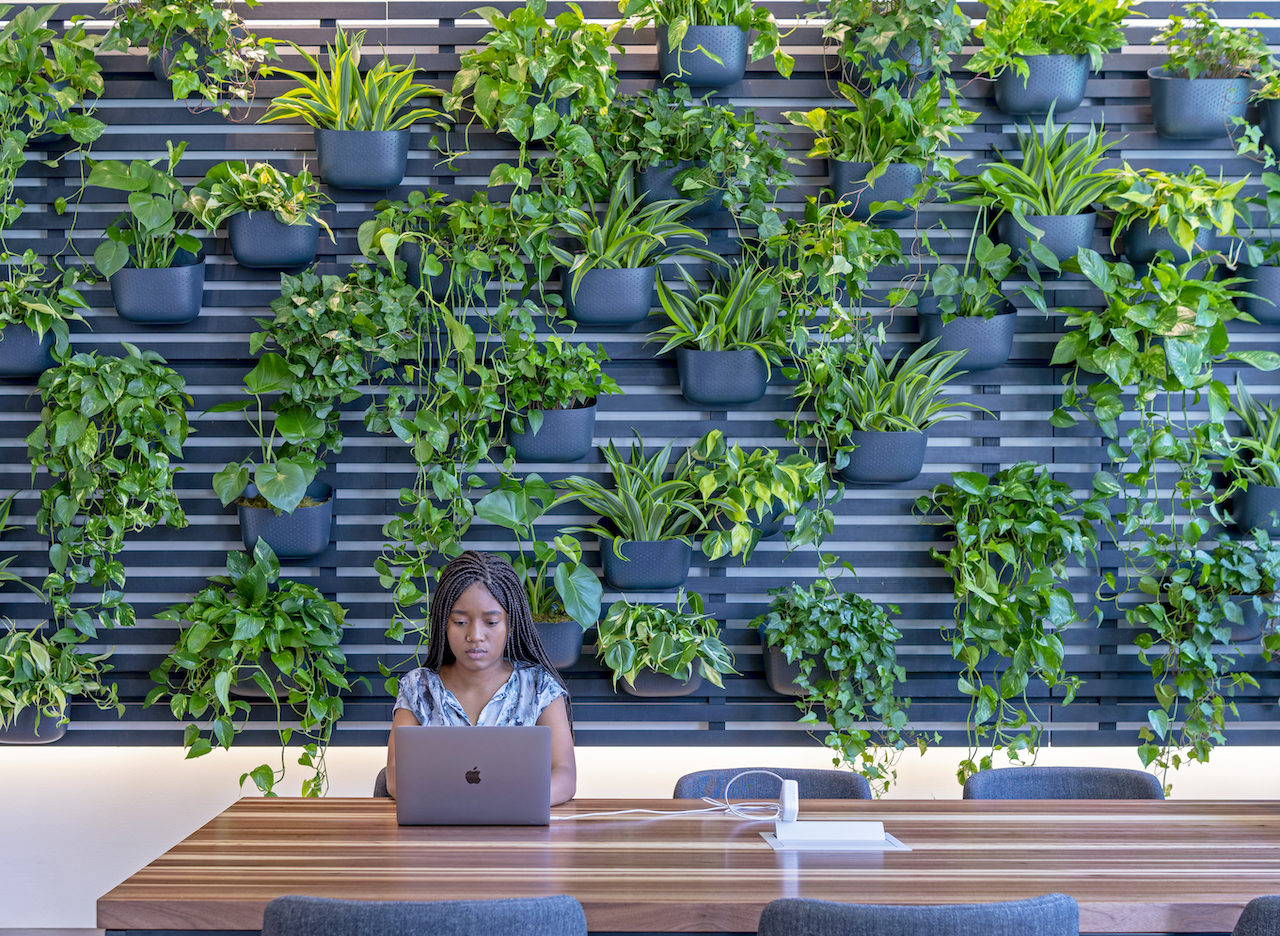 Good sound absorption and deflection with plants! - Sound and Vibration ...